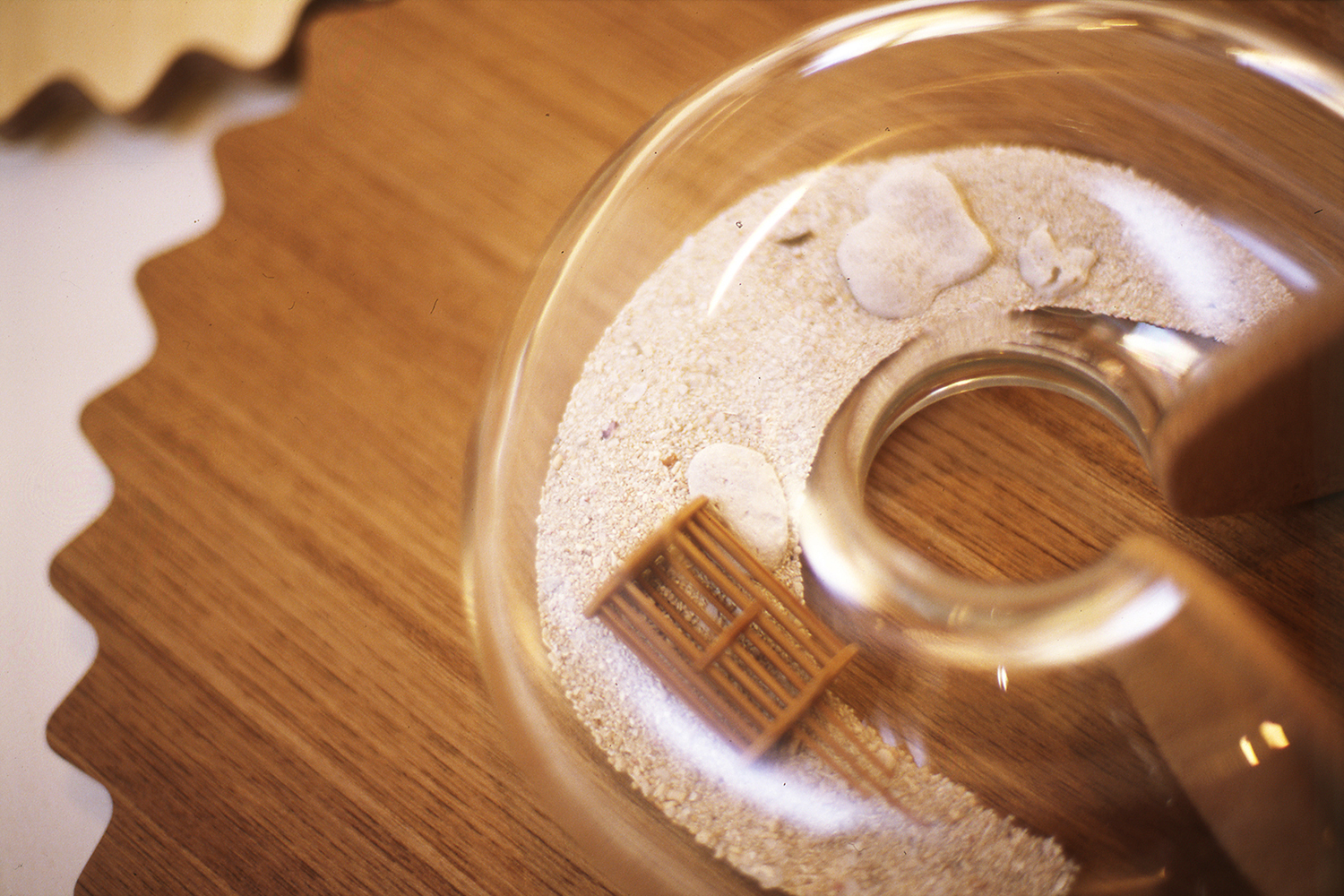 happi 1st Exhibition | IGARASHI DESIGN STUDIO